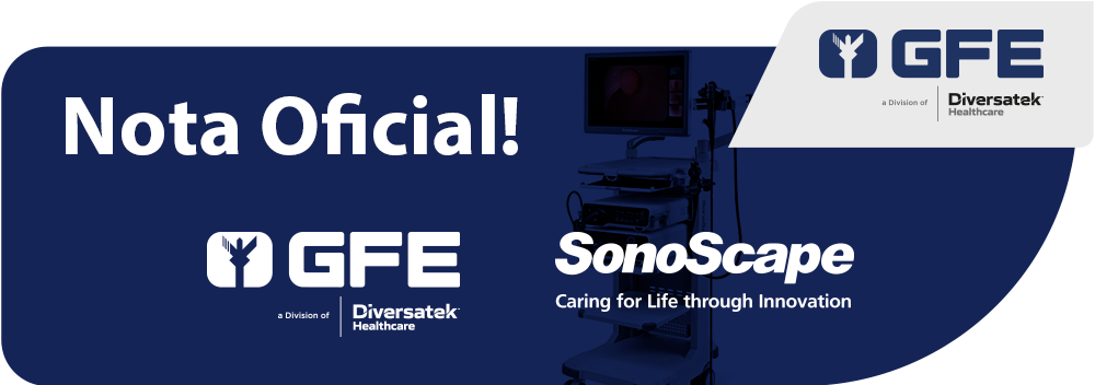 Home - GFE Do Brasil